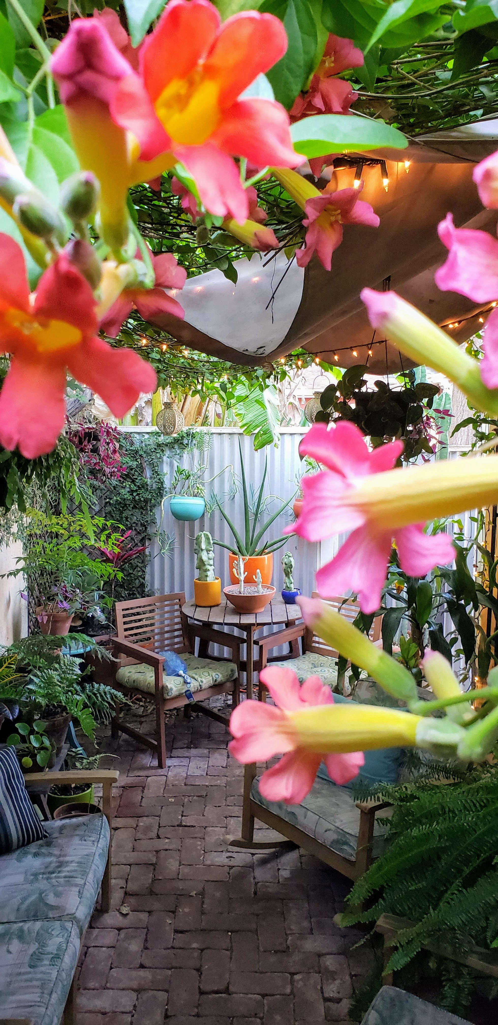 Eclectic Silver Lake Shaded Zen Garden - Gardenista