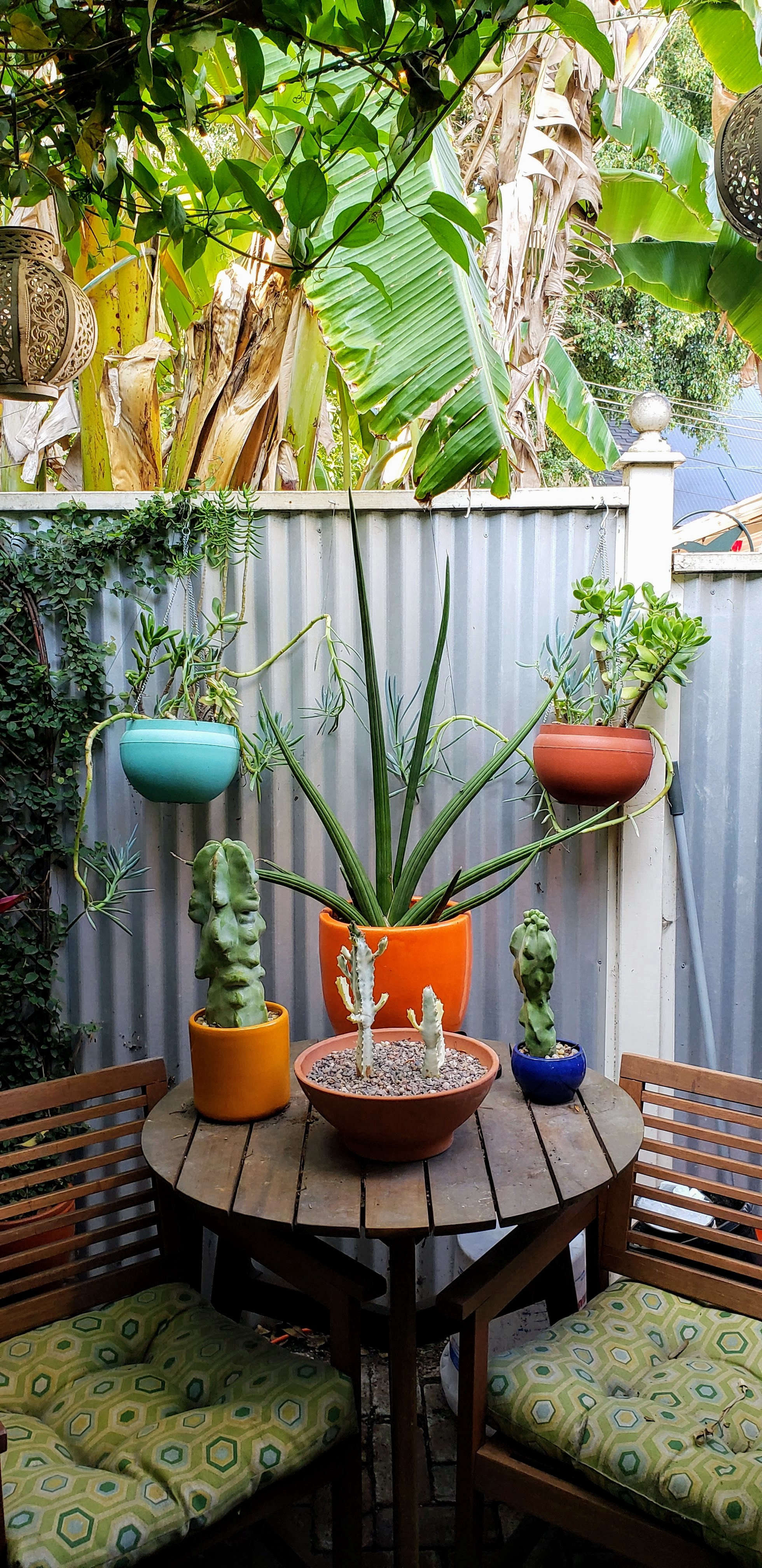Eclectic Silver Lake Shaded Zen Garden - Gardenista