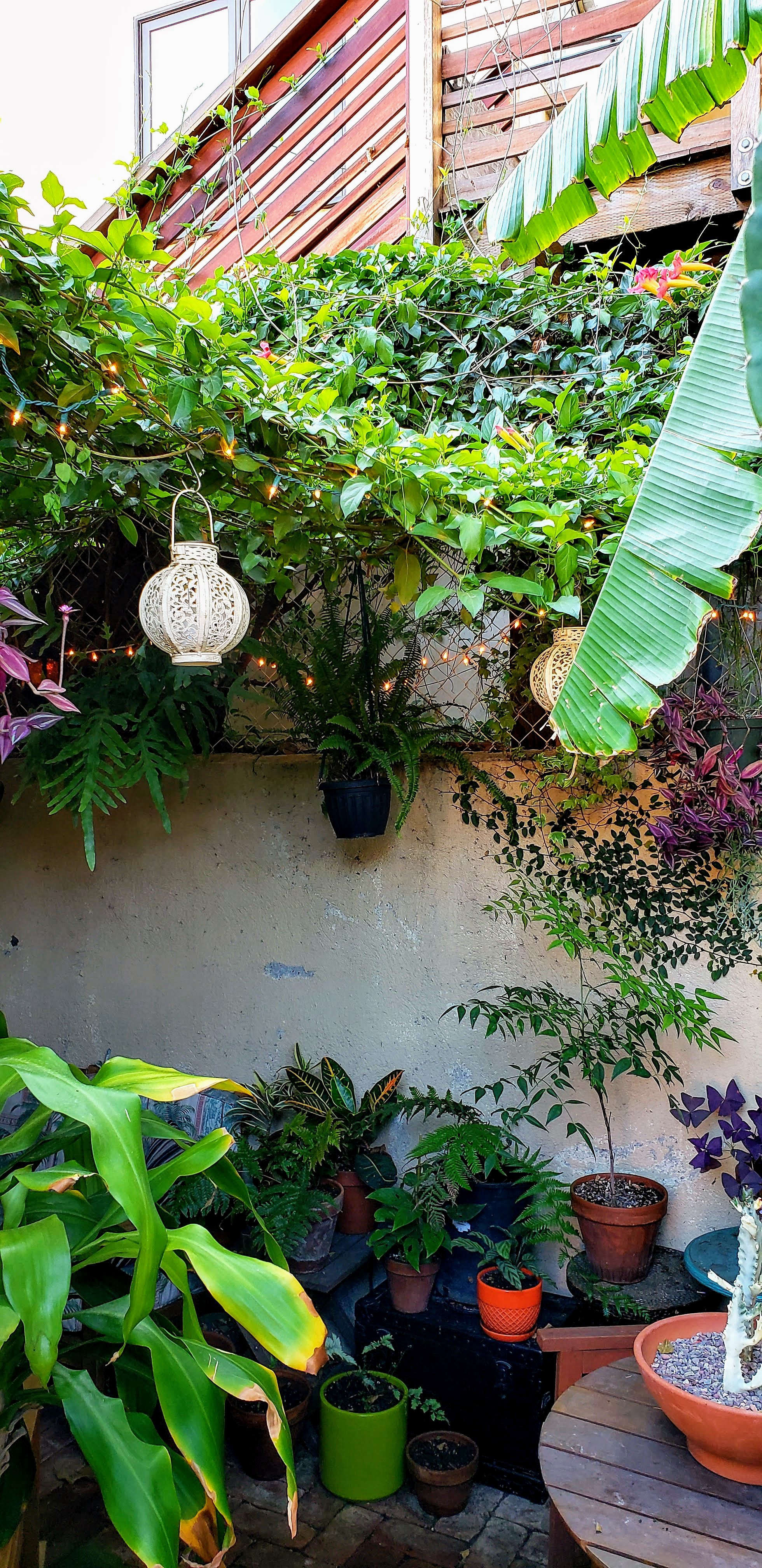 Eclectic Silver Lake Shaded Zen Garden - Gardenista