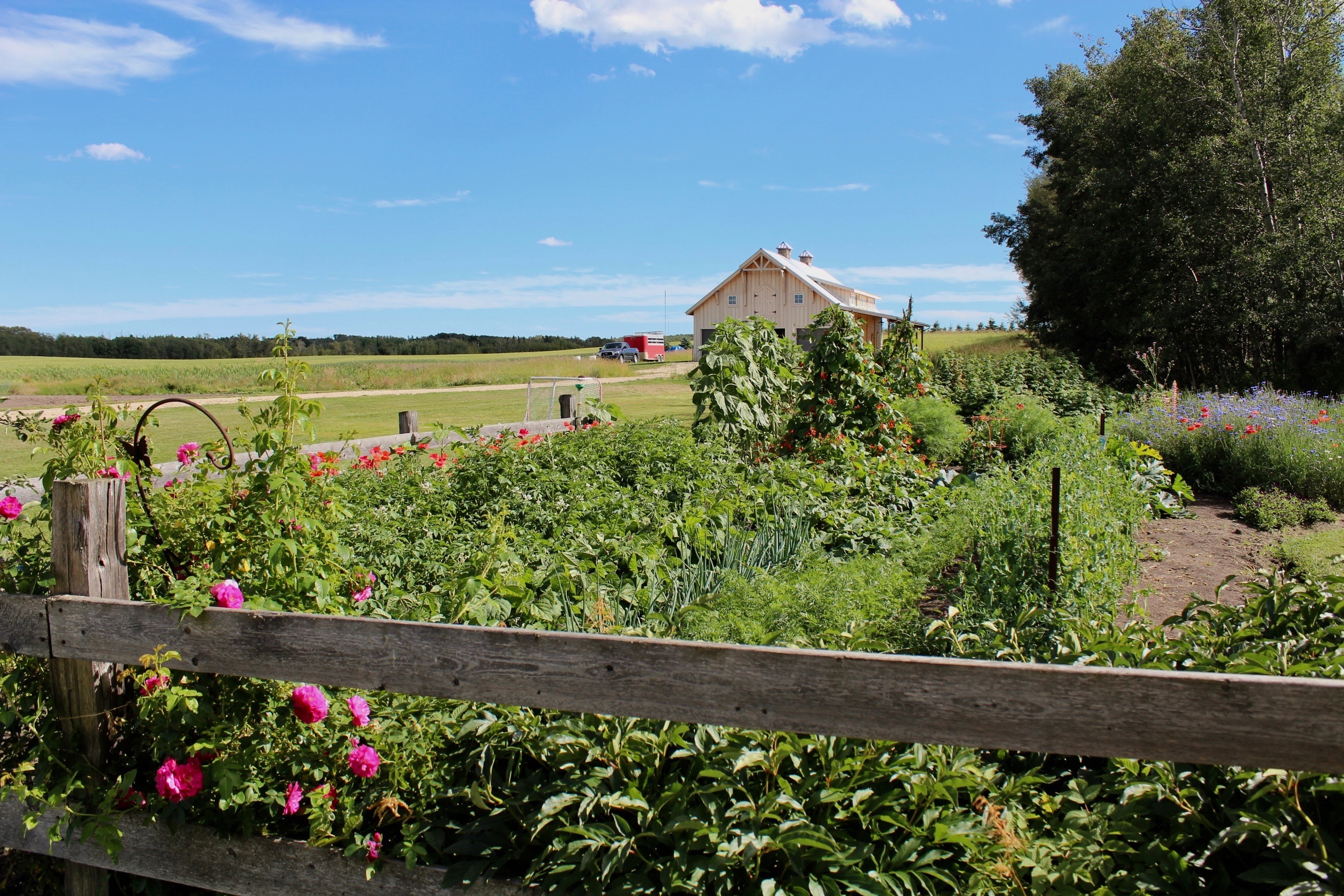 Northern farm garden - Gardenista