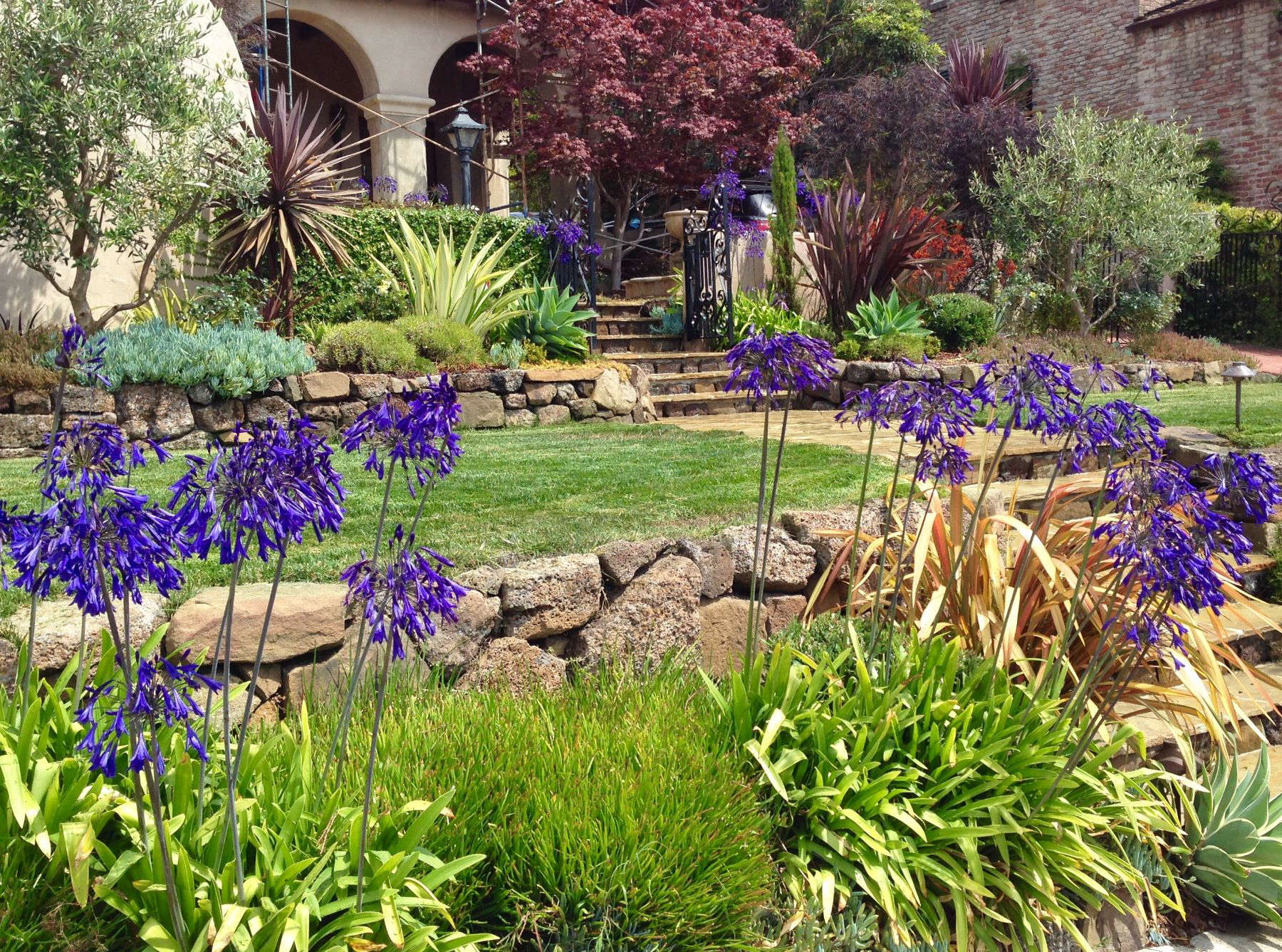 New Landscape for a 1929 Spanish Colonial Revival Home - Gardenista