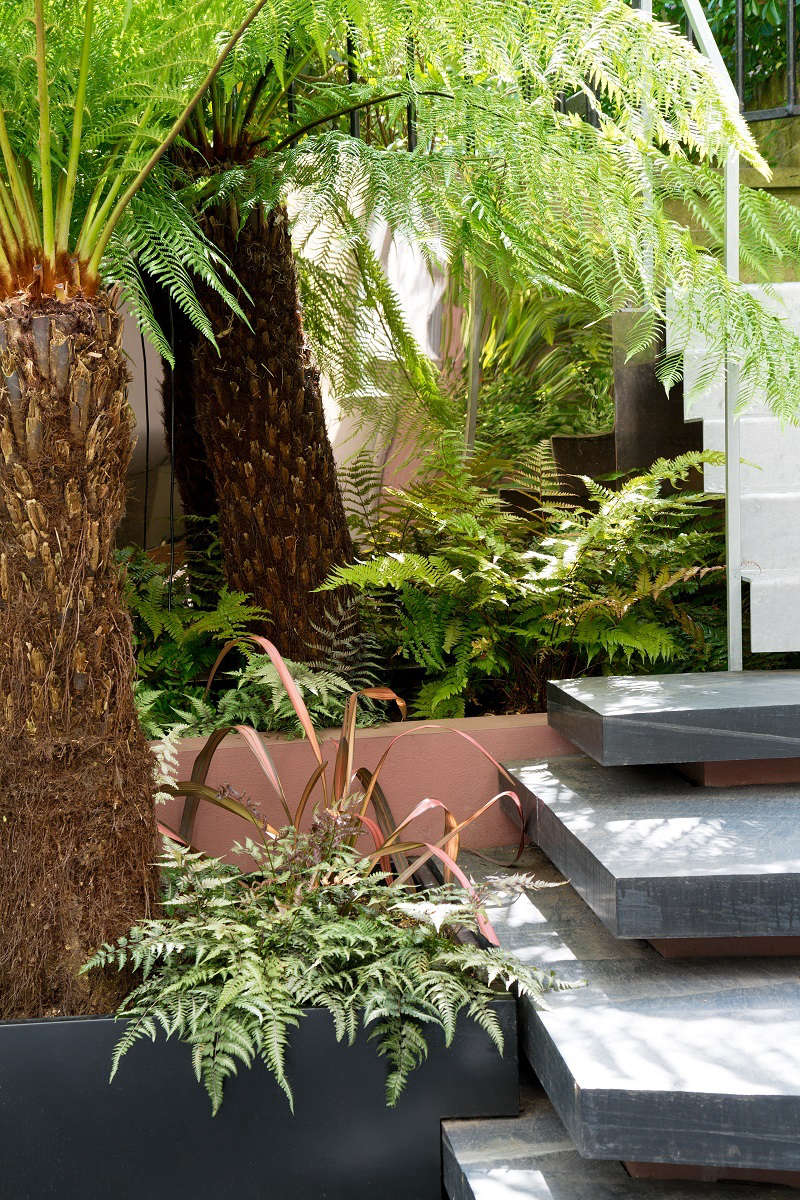 An African-inspired Garden in Holland Park - Gardenista