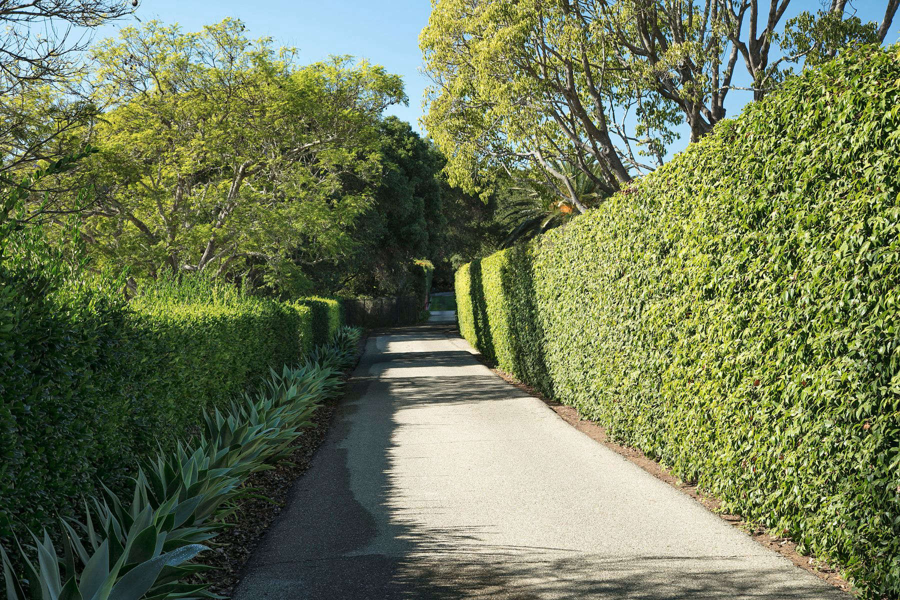 Santa Barbara Contemporary - Gardenista