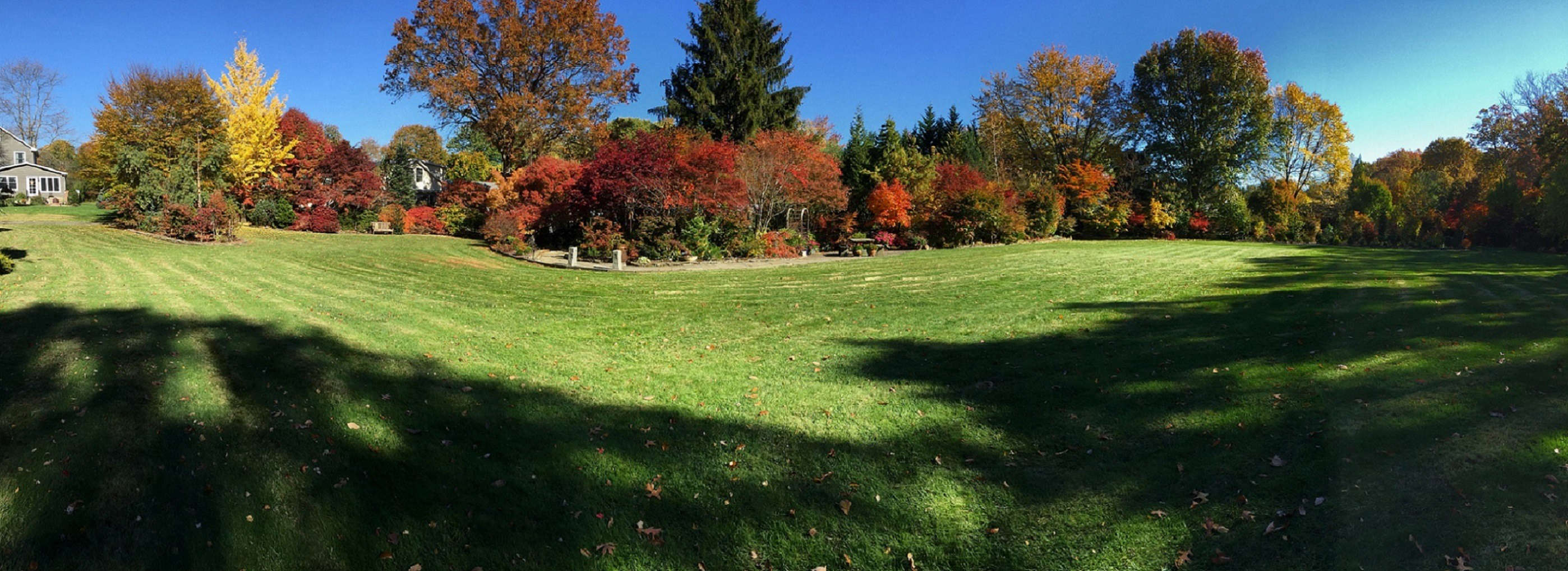 Garden of Ed and Debbie Shinn - Gardenista