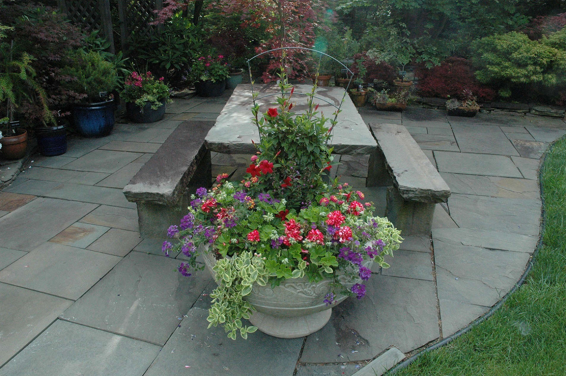 Garden of Ed and Debbie Shinn - Gardenista