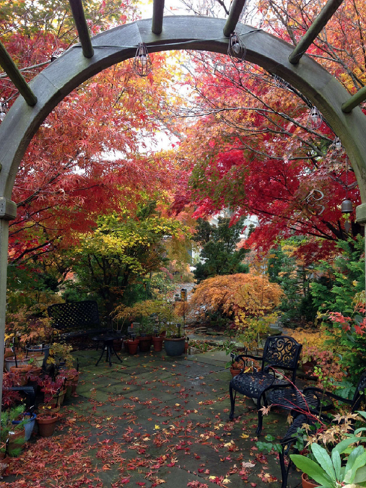 Garden of Ed and Debbie Shinn - Gardenista