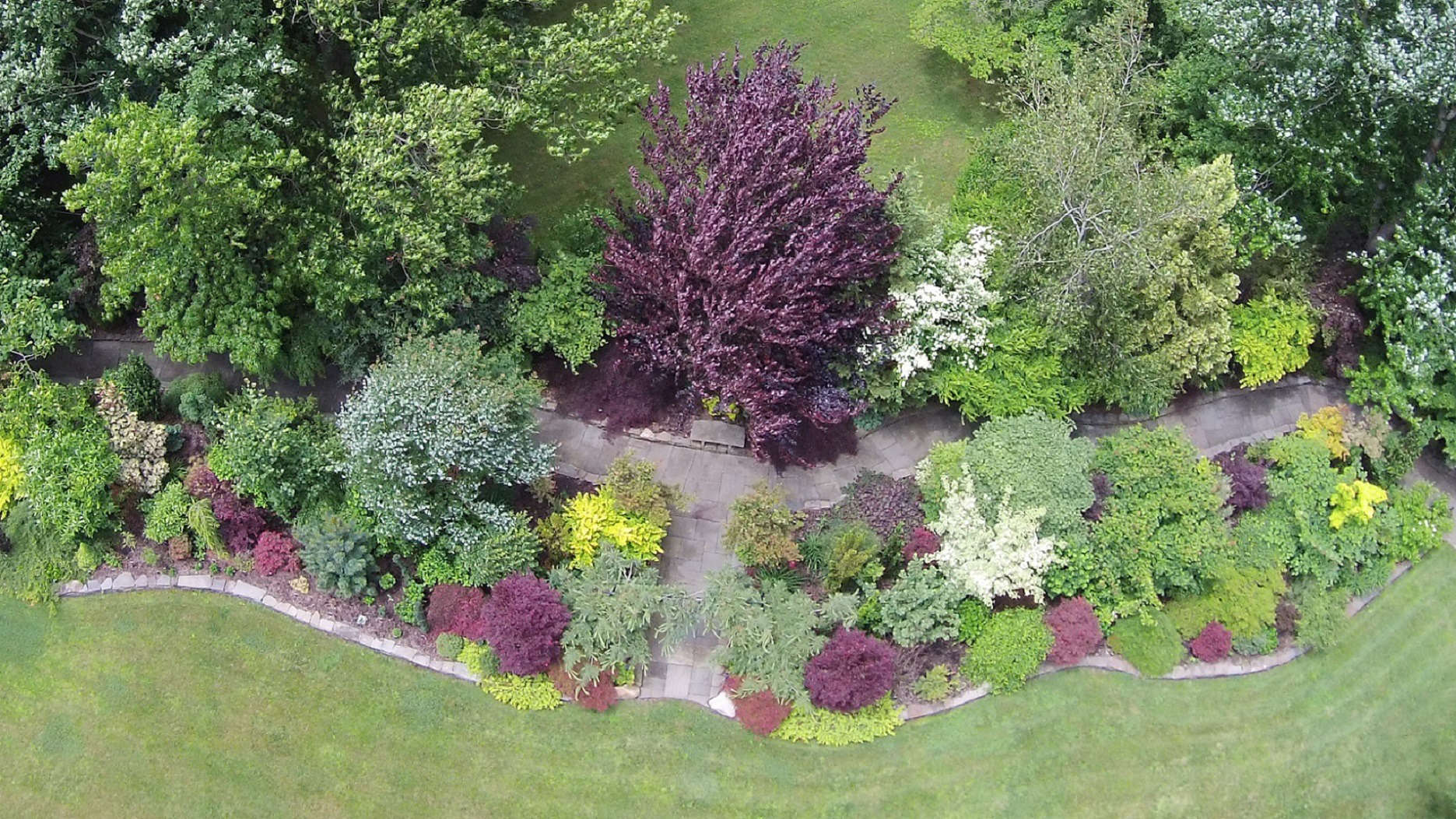 Garden of Ed and Debbie Shinn - Gardenista