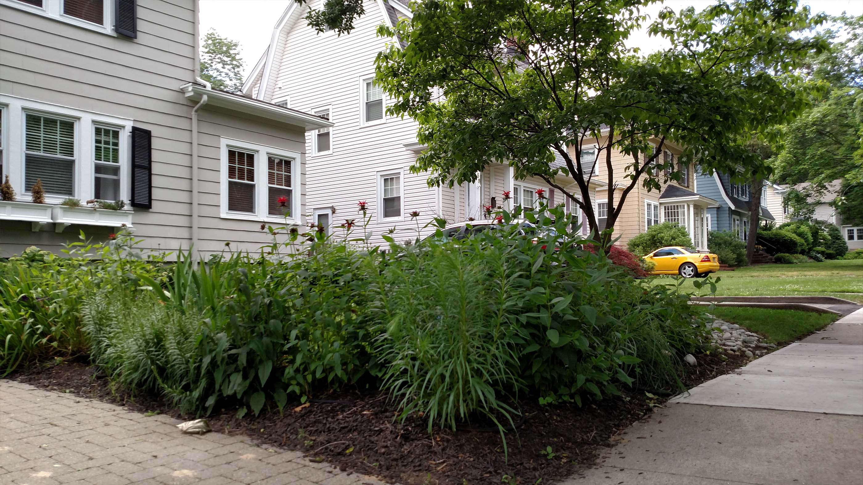 Designing for a Gardener - Gardenista