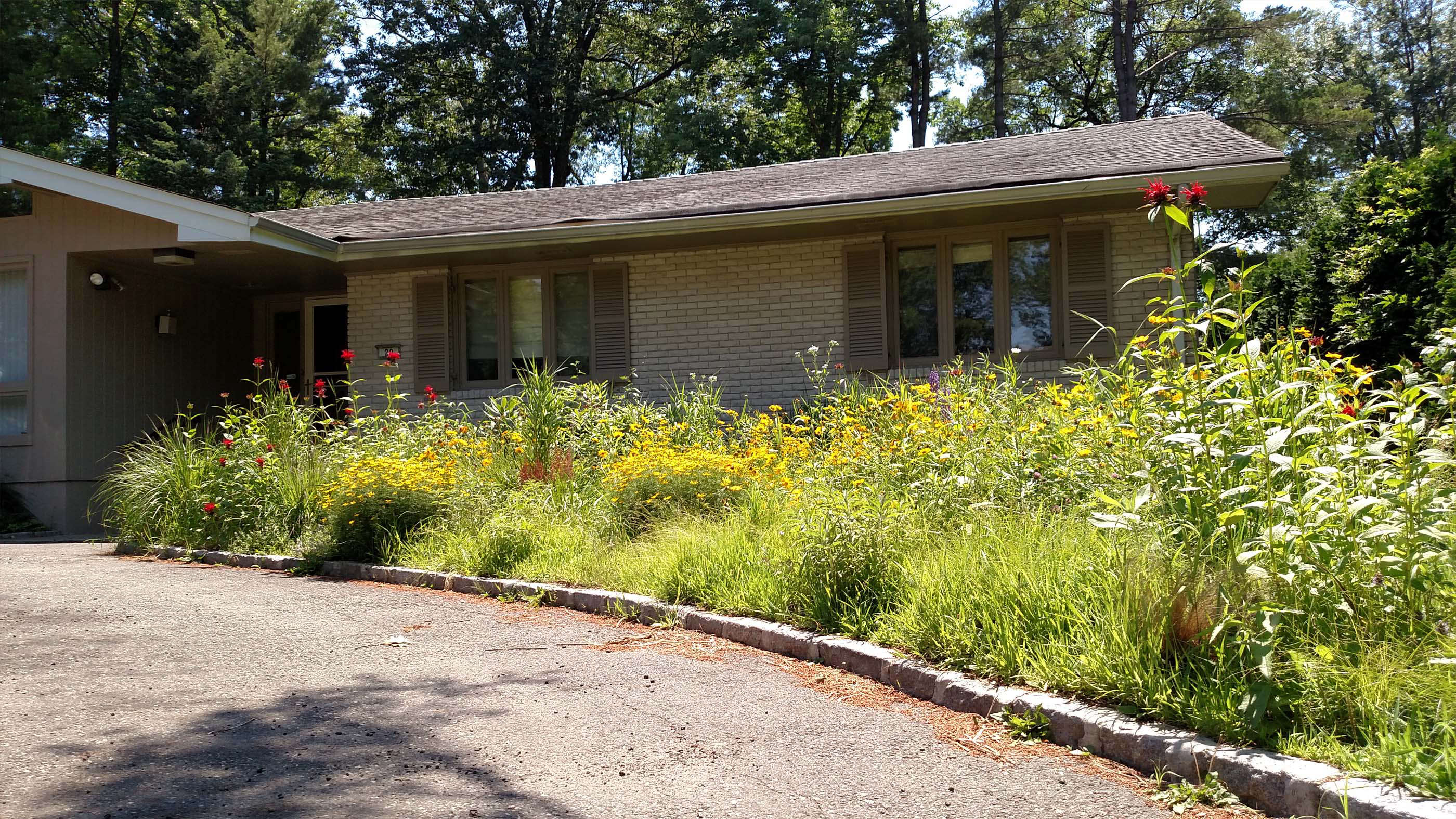 Front Yard Meadow - Gardenista