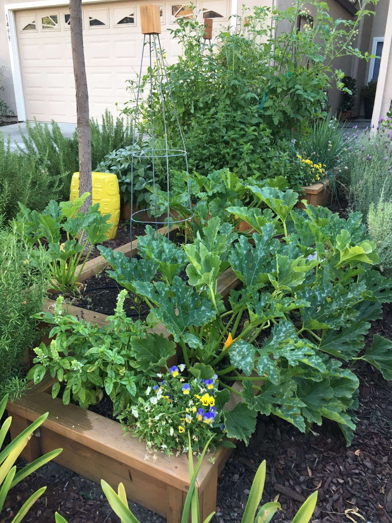 Chateau D2 Vegetable Garden - Gardenista