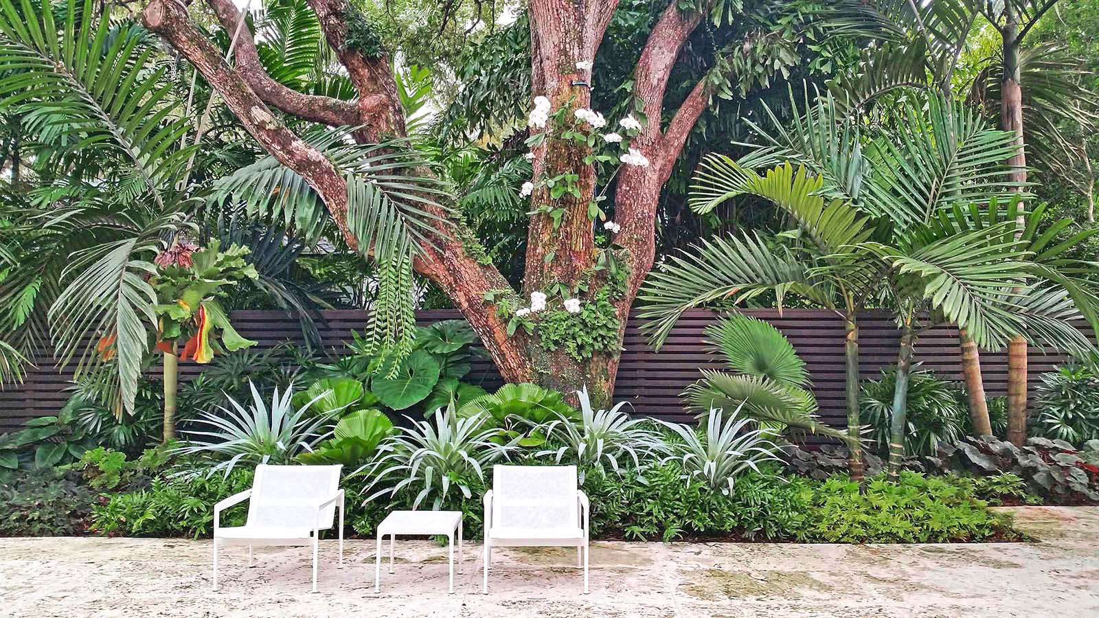 Oak Garden at Silver Bluff | Miami, Florida - Gardenista