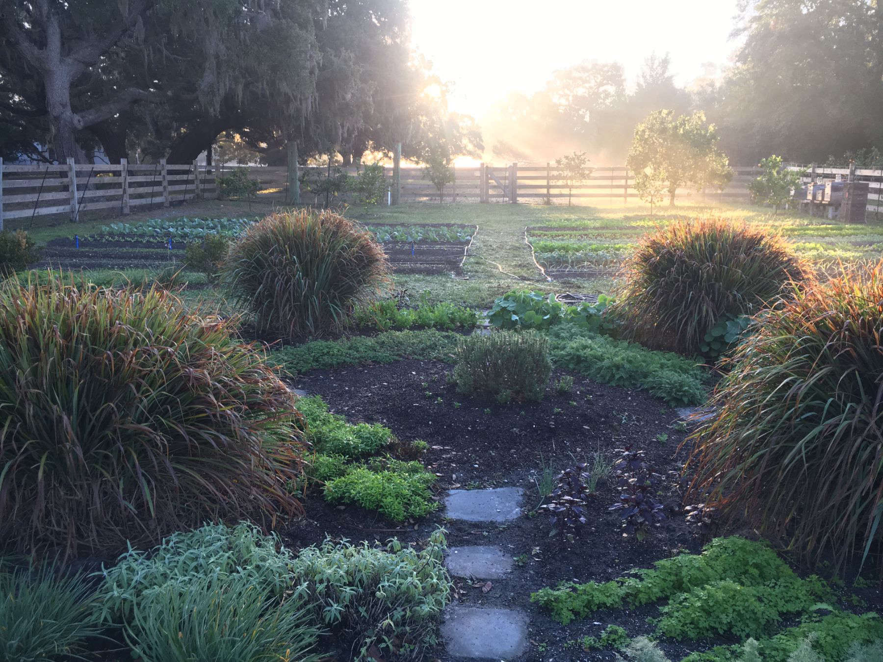 Low Country Kitchen Garden - Gardenista